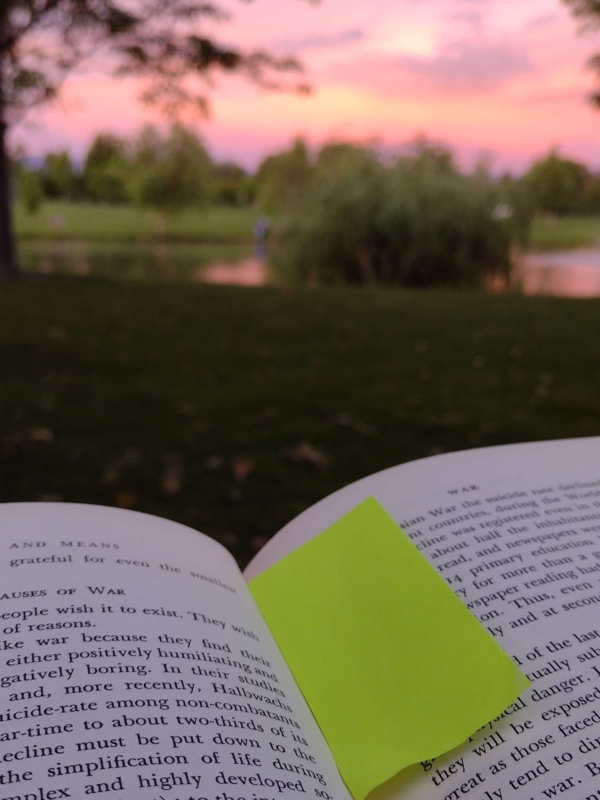 Life without Books – Classics Considered